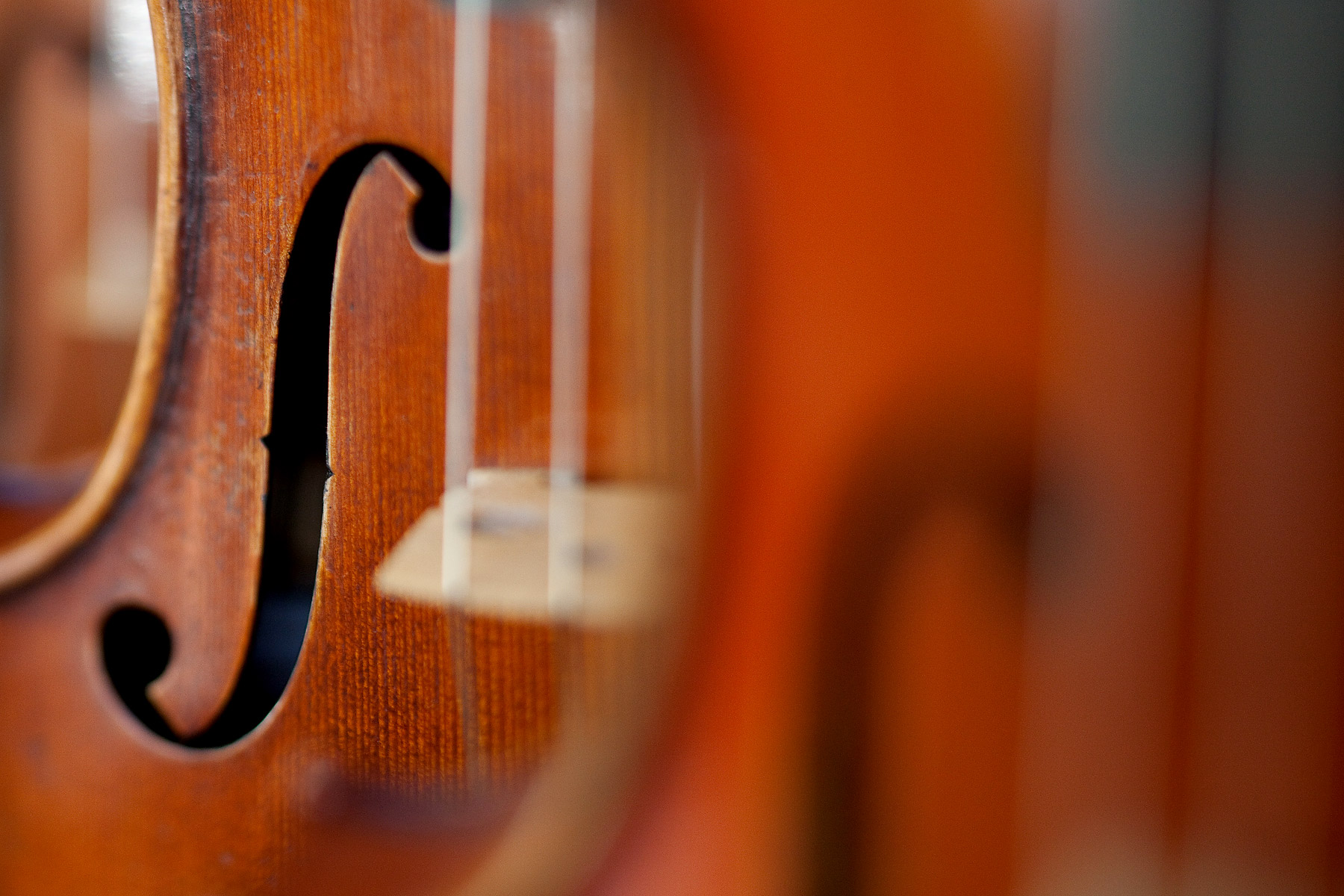 Olsen__bkg_gallery - Olsen Violins