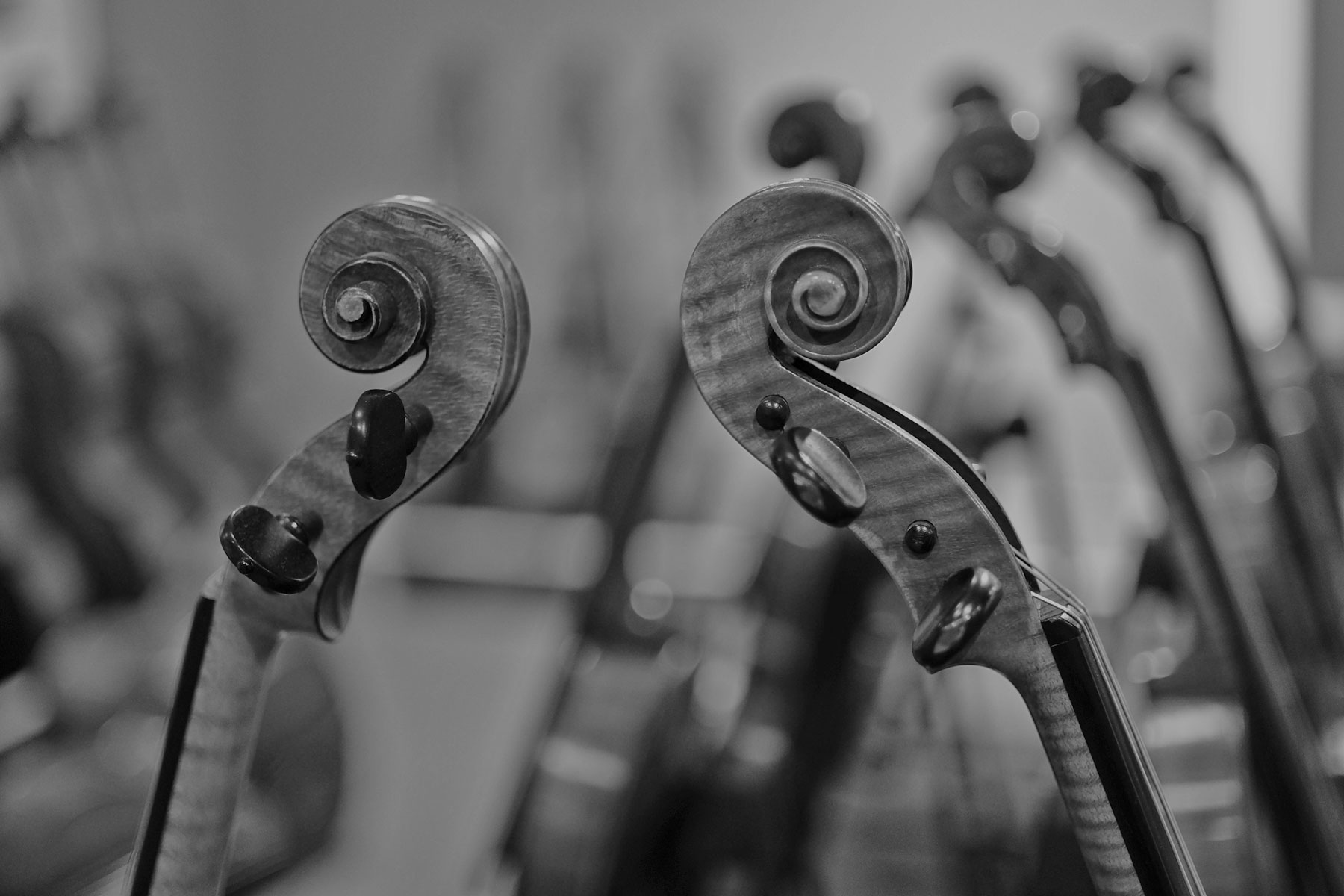 bkg_violin - Olsen Violins